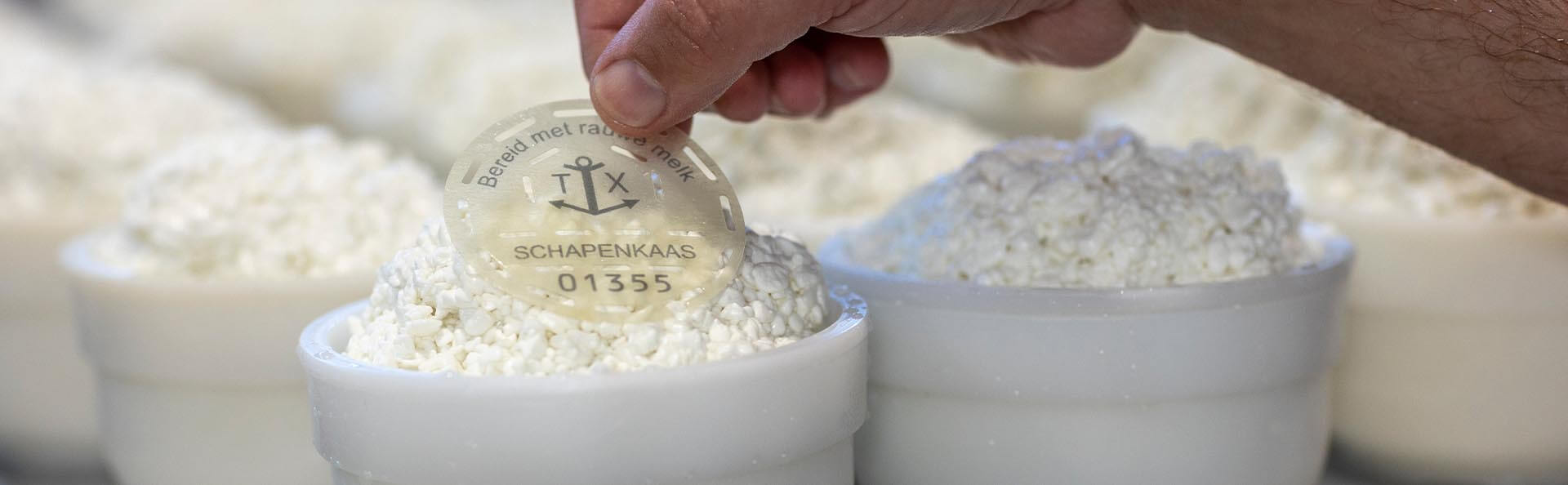 Texelse schaap - Kaasboerderij Wezenspyk